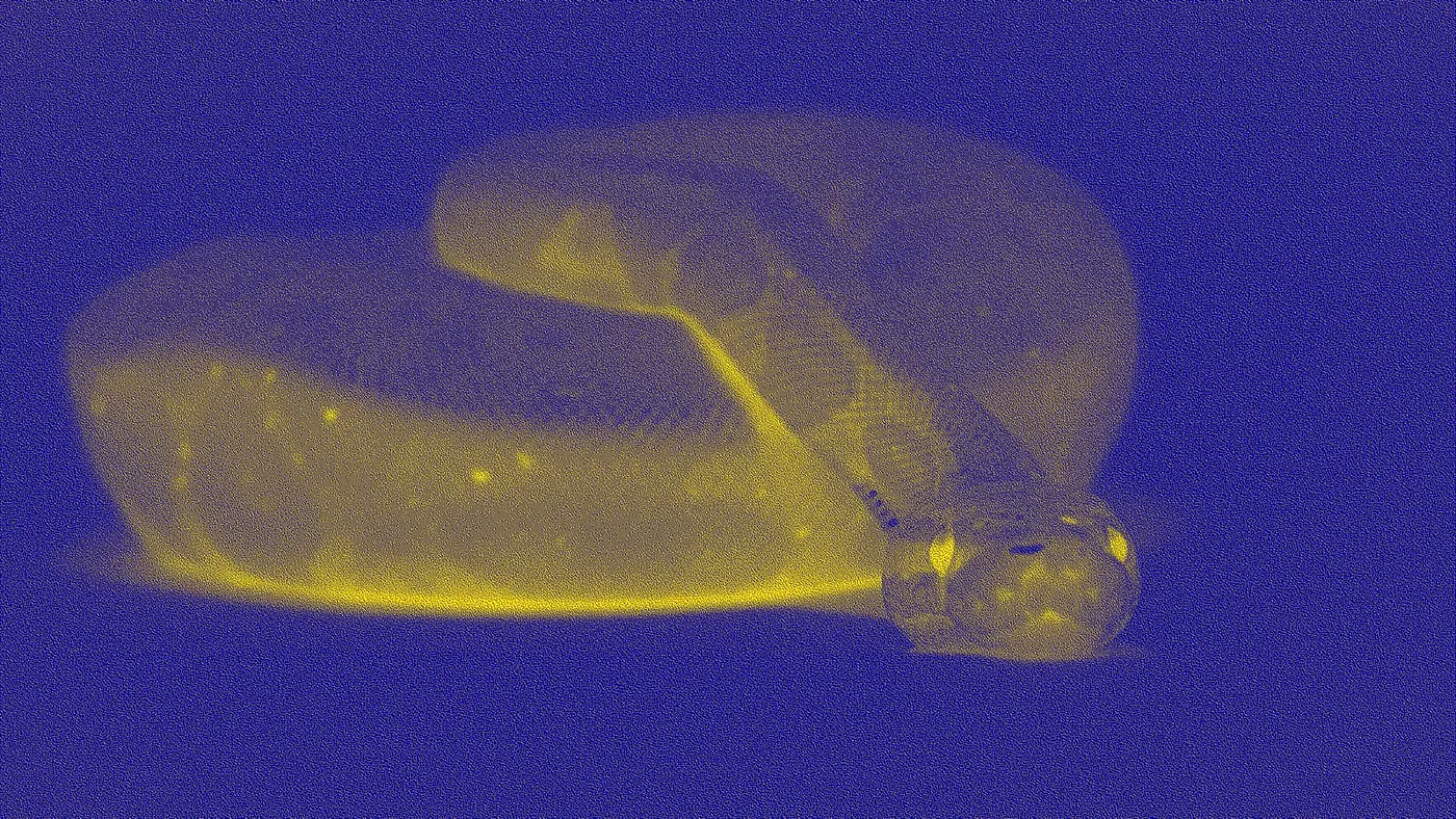 Snake’s takedown, irksome commercial surveillance and a federal data breach